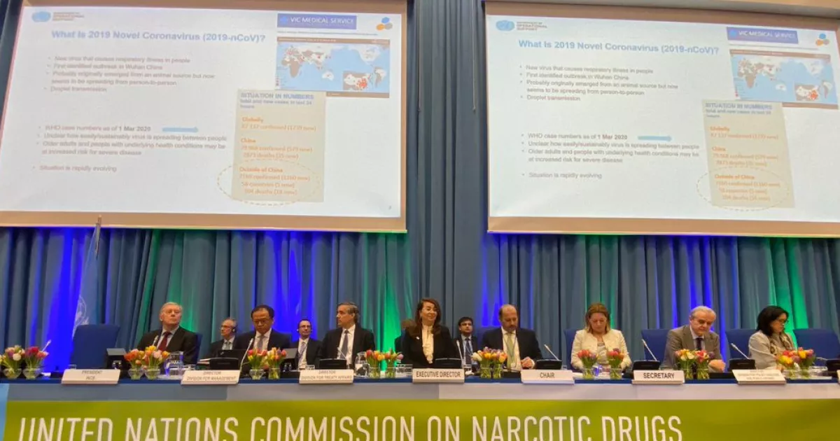 La Onu Reconoce La Utilidad Terapéutica Del Cannabis Cáñamo
